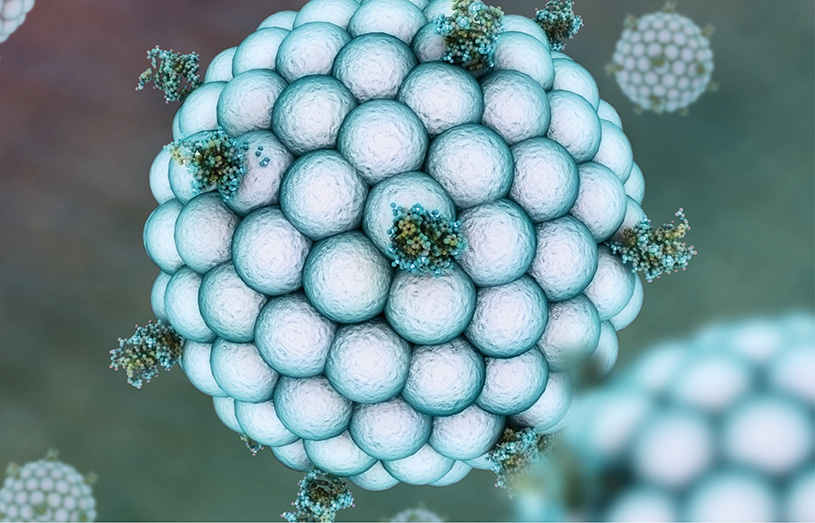 09_0001_livello-6 – Dyrecta Lab