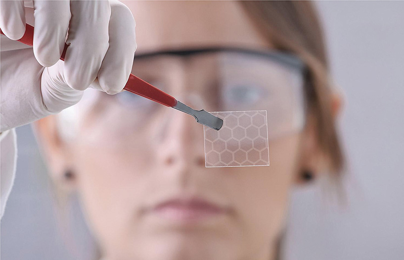 09_0004_livello-8 – Dyrecta Lab