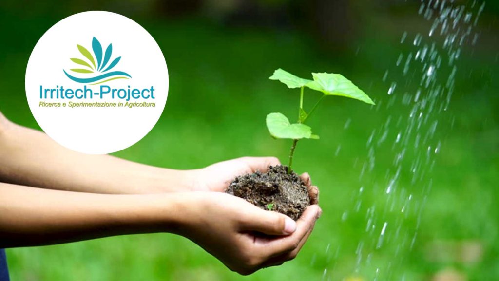 irritech – Dyrecta Lab