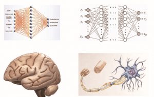 Reti neurali artificiali: cosa sono e come funzionano – Dyrecta Lab