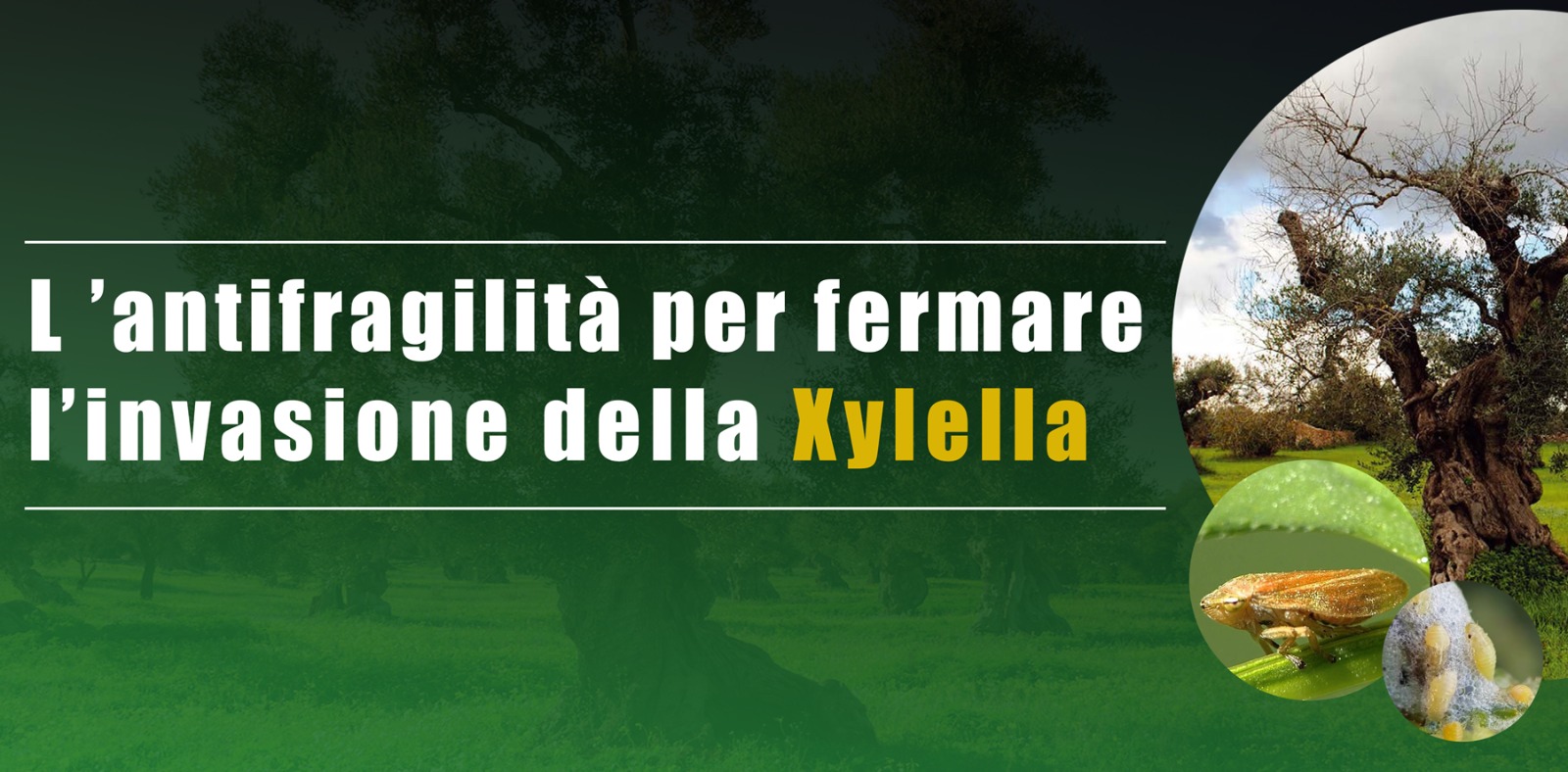 Project Manager – Dyrecta Lab